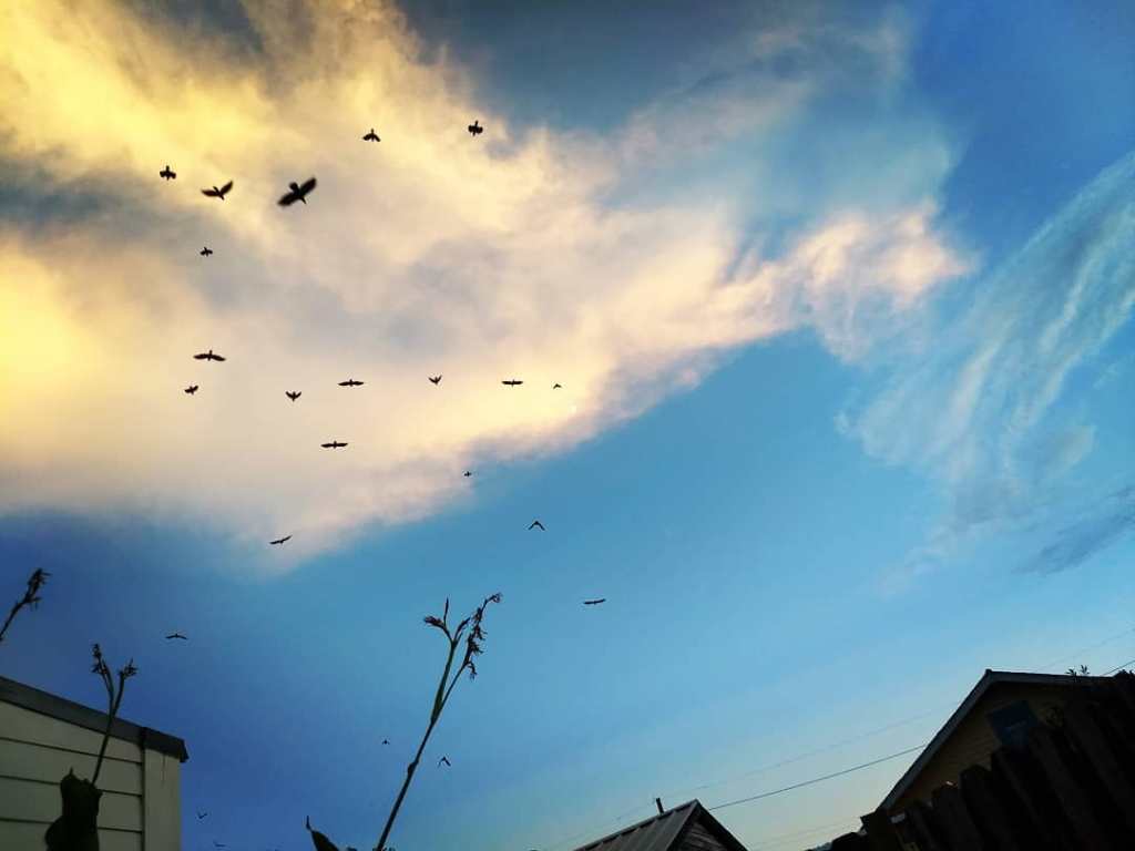 letters of transit. – notes from a never-was.